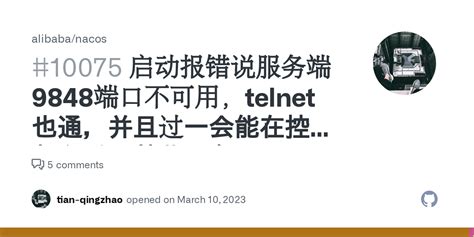 启动报错说服务端9848端口不可用，telnet也通，并且过一会能在控制台看到某些服务 · Issue 10075 · Alibaba