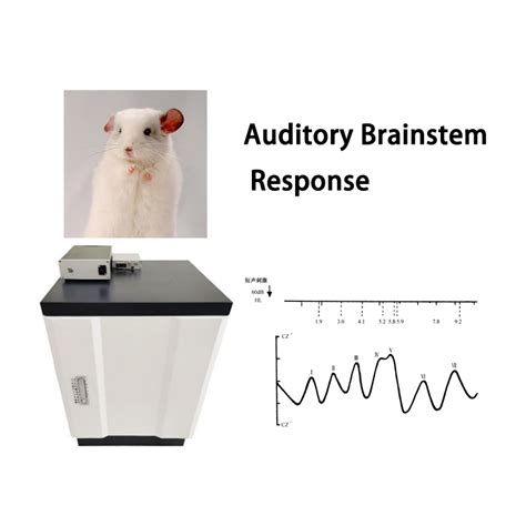China Mouse Auditory Brainstem Response Testing System Manufacturers