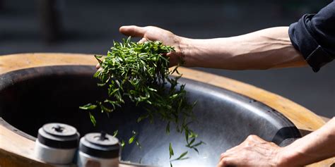 中國文化10種茶具 認識中國茶文化 圖說中國 文化精華 當代中國