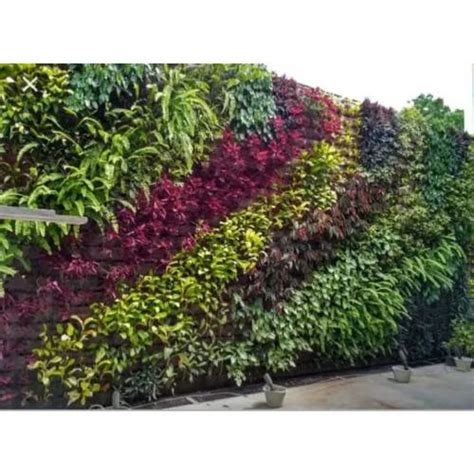 Jual Custom Taman Vertical Garden Pembuatan Taman Vertikal Tanaman