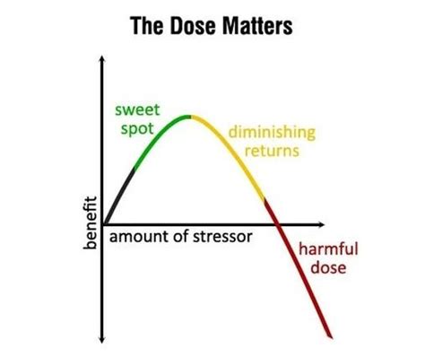 Sebastijan Orlić Ph D On Linkedin Clickbait Longevity Stress