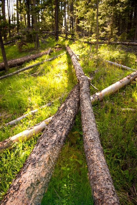 1128 Nrcs Projects Free Photos On