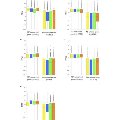 Distribution Of Gene Expression Levels Shown In A Box Plot Gene Download Scientific Diagram