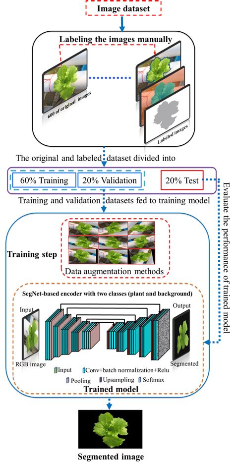 flowchart of segmentation process using segnet download scientific