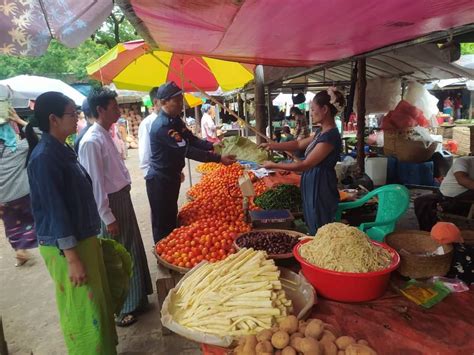 မြို့သစ်၌ ပလတ်စတစ်သုံးစွဲမှုလျှော့ချရေး အသိပညာပေးလုပ်ငန်းများဆောင်ရွက် Information And Public