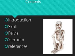 Determination Of Sex From Skeletal Remains Pptx