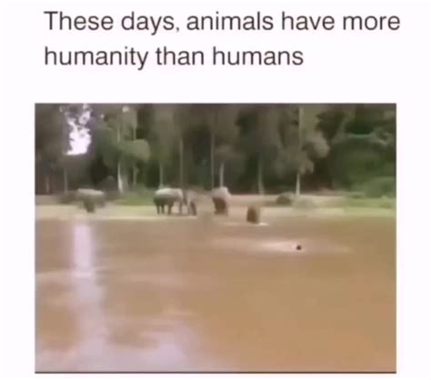 Selva Kumar Posted On Linkedin