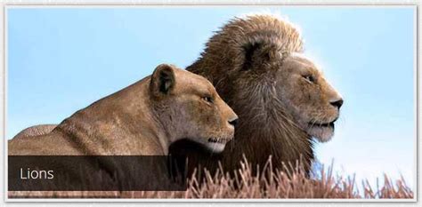 pure css3 image slider for blogger blogspot cycle style hakjit tech