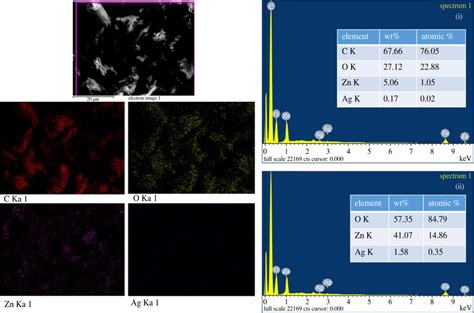 Sem Morphology Elemental Mapping And Edax Analysis Of Znoagrgo The