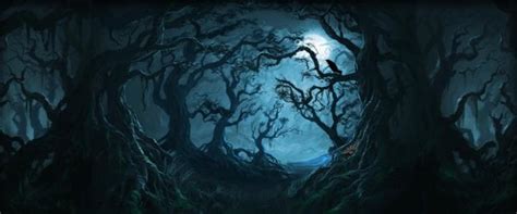 哈利波特与天然20 05：禁林 知乎