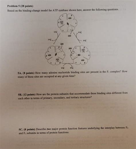 Solved Problem 5 28 Points Based On The Binding Change Chegg Com