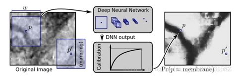 使用u Net 进行图像分割u Net 怎么做分割的 Csdn博客 使用u Net 进行图像分割u Net 怎么做分割的 Csdn博客