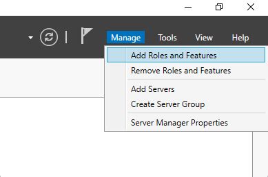 How To Enable Asp Net Asp Net In Plesk For Windows Server Support Cases From Plesk