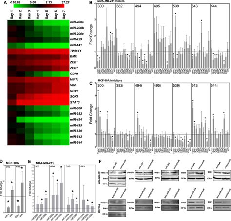 Dlki Dio3 Mirnas Regulate A Signaling Network Involving Twist1 Bmi1