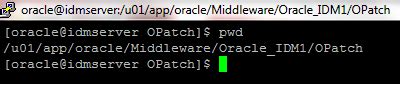 Steps To Determine Oracle IAM 11g Or 12c Server Versions
