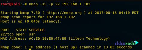 How To Use Wireshark In Nmap Step By Step Eldernode Blog