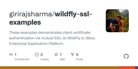 Github Girirajsharma Wildfly Ssl Examples These Examples Demonstrates Client Certificate