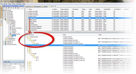 Intersystems Caché Global Navigator
