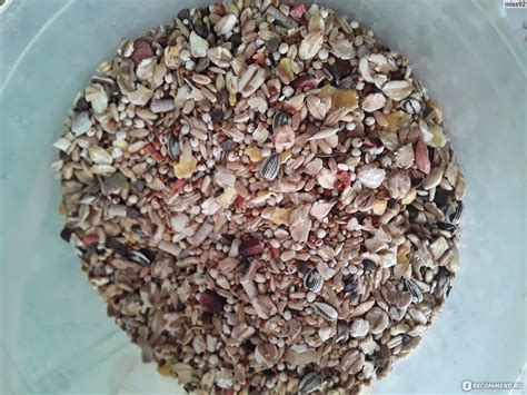 Корм для крыс и мышей Little One - «Лучший корм для крысок. Богатый ...