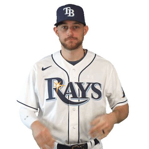 Tampa Bay Rays Stickers Find And Share On Giphy