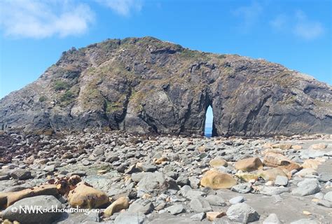 Harris Beach State Park Find Rocks At Oregons Largest Island