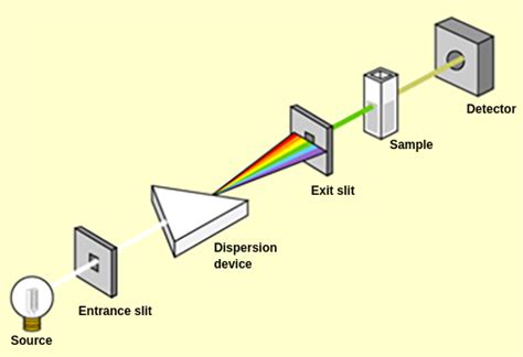 Type Of Detector Labster Theory