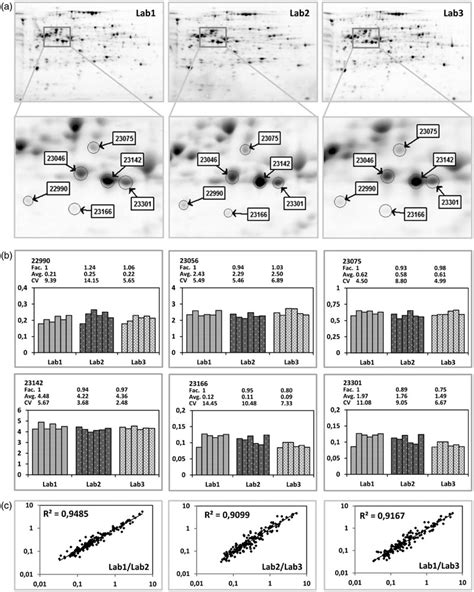 Variation Of Spot Intensities A To Demonstrate Reproducibility Of Download Scientific