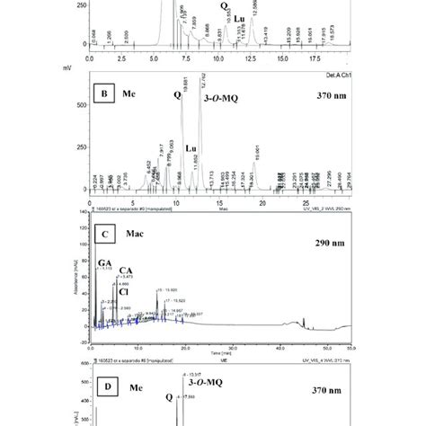 Rp Hplc Chromatogram At 370 Nm Of Samples Aqueous Extract Mac 10 Download Scientific Diagram