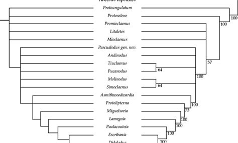 A Strict Consensus Tree And A Majority Rule Consensus Tree Of The 19