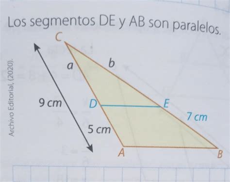 E Los Segmentos De Y Ab Son Paralelos Brainly Lat