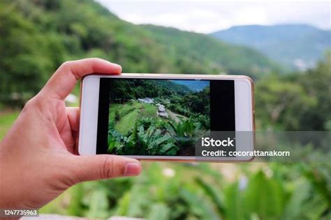 태국의 우리 시즌에 녹색 언덕과 숲에 언덕 부족 마을과 사진 아름다운 풍경 계곡 산을 촬영하기 위해 스마트 폰을 들고 여자 손 경관에 대한 스톡 사진 및 기타 이미지