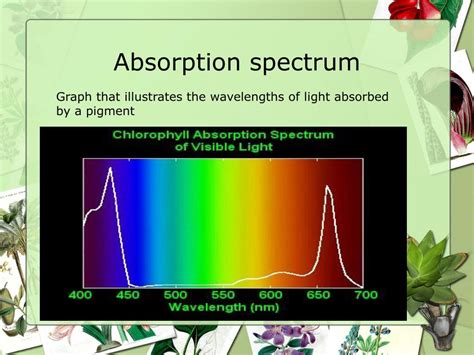 Color Absorbance Spectrum Professionalsshery