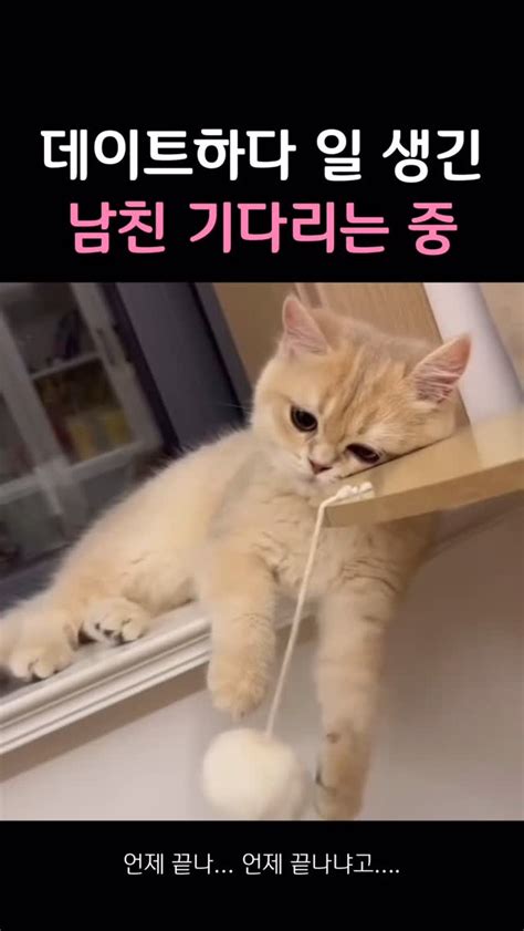 연애데이트썸커플 어서 끝나기를 럽스타 연애 연애스타그램 커플스타그램 럽스타그램 여자친구 남자친구 여친짤 남친짤 설렘주의 Instagram