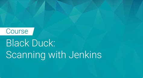 Black Duck Scanning With Jenkins