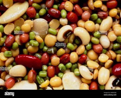 Collection Of Pulses These Are The Edible Seeds Of Leguminous Plants