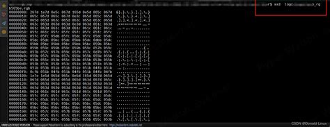 2024 07 01 linux xxd命令上查看或创建16进制的命令行工具。可以将二进制文件的内容以十六进制格式显示，将十六进制格式的数据