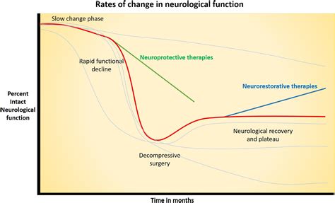developing novel therapies for degenerative cervical myelopathy [ao spine recode dcm research