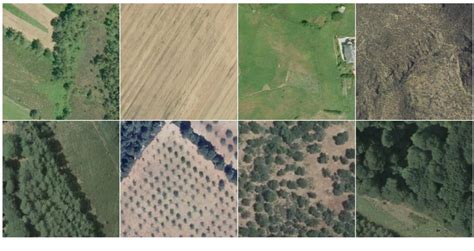 figure 1 from a framework based on nesting of convolutional neural networks to classify