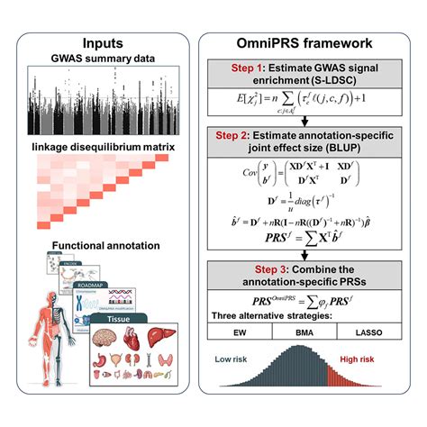 Incorporating Multiple Functional Annotations To Improve Polygenic Risk Prediction Accuracy