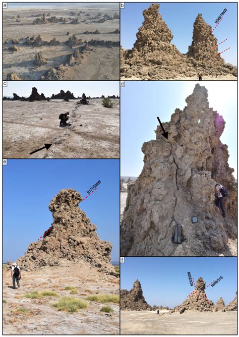 Large Scale Hydrothermal Chimney Distribution And Characteristics A Download Scientific