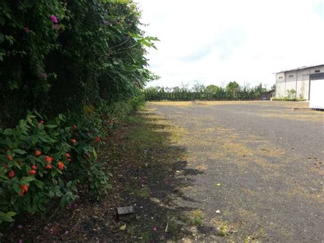 Entrepôt En Vente À Yassa Douala Duplex Triplex Et Immeuble A Vendre