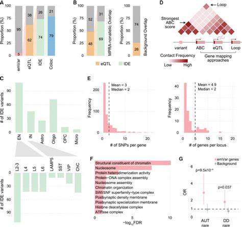 Massively Parallel Reporter Assay Investigates Shared Genetic Variants Of Eight Psychiatric