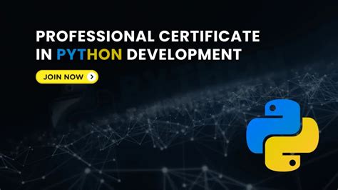 Professional Certificate In Python Development Pune Python Development Professional