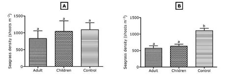 Mean Seagrass Density Before A And After B The Trampling Download Scientific Diagram