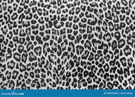 Leopard Texture Fabric Pattern Leopard Print Seamless Animal Effect