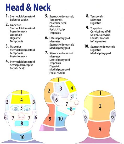 31 Free Printable Headache Chart Templates [pdf]