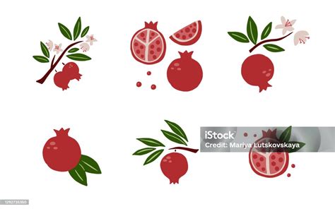 석류 포스터 세트 이국적인 열대 붉은 신선한 과일 녹색 잎과 꽃 슬라이스와 씨앗 벡터 만화 미니멀 한 스타일 고립 된 일러스트와 전체 육즙 가넷 0명에 대한 스톡 벡터 아트