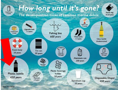 Fact Check Does It Take 450 Years For A Plastic Bottle To Decompose In
