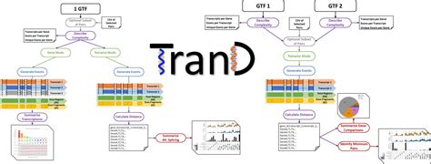 Nucleotide Level Distance Metrics To Quantify Alternative Splicing