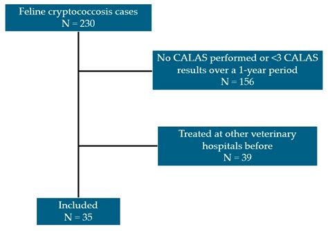 Cryptococcus In Cats Test